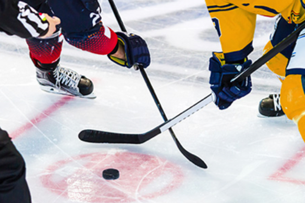 Atlanta Amateur Hockey League