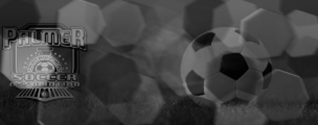 Palmer Soccer Association
