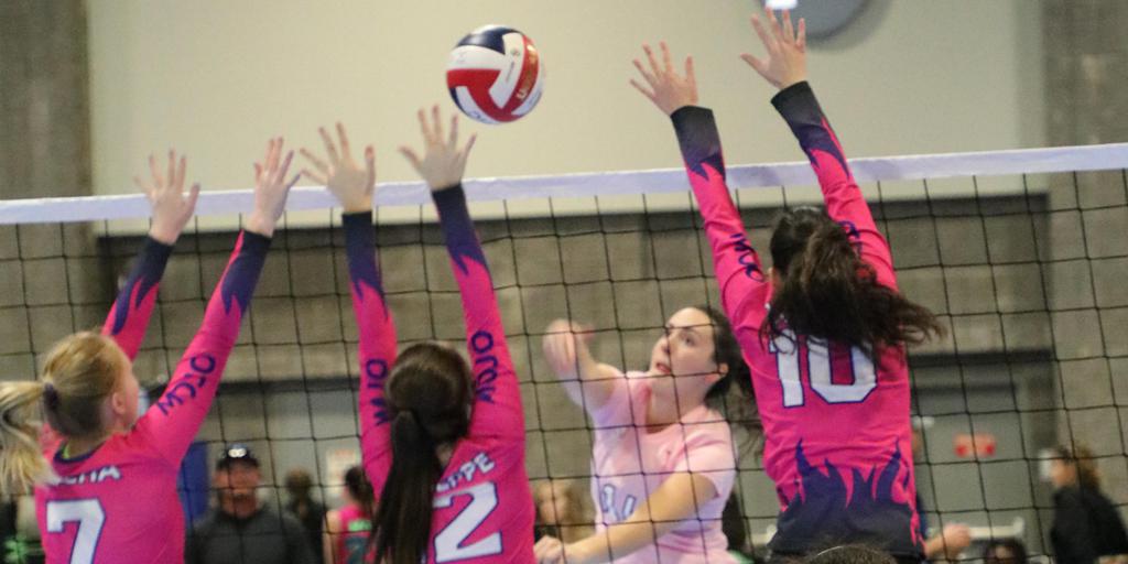 NoVA Volleyball Alliance