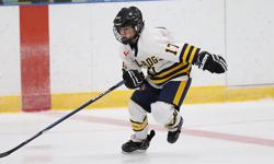 Halton Hurricanes AAA