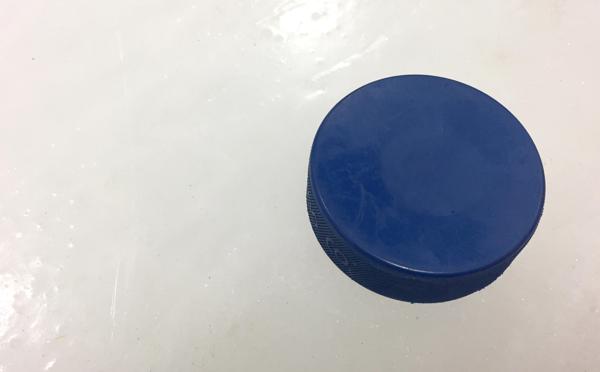 The sport science behind the blue puck