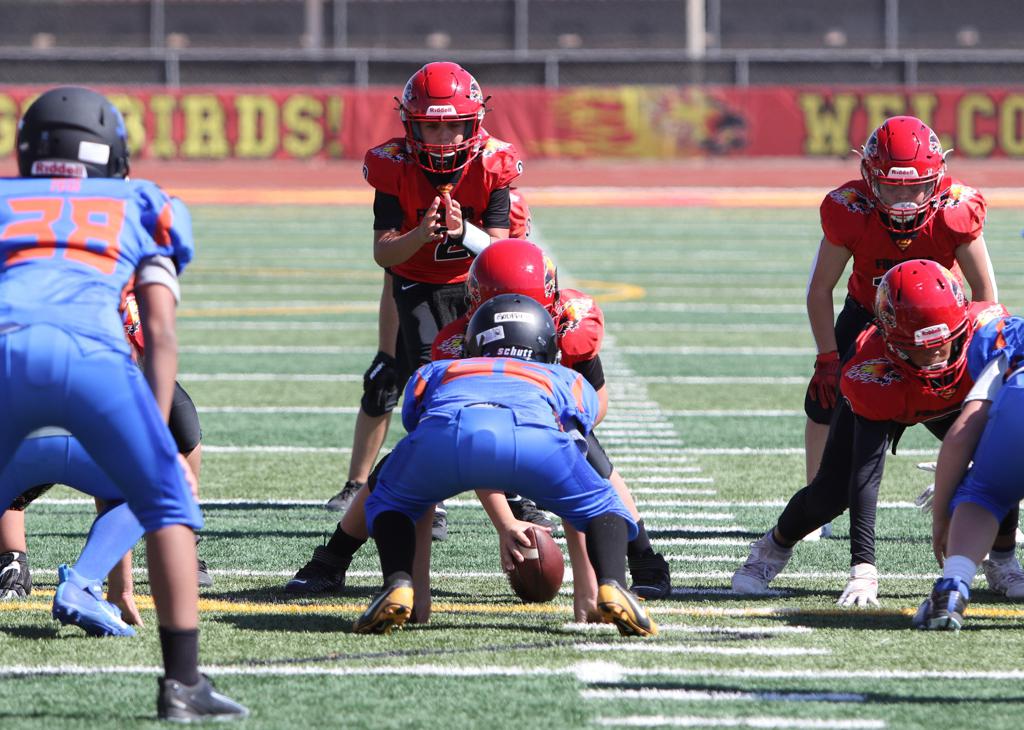 Firebirds 13U Red