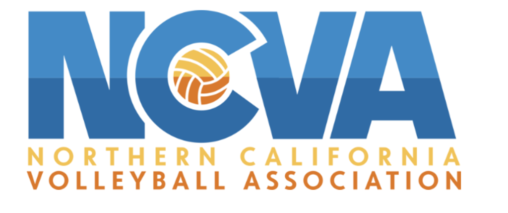 Absolute Volleyball Club