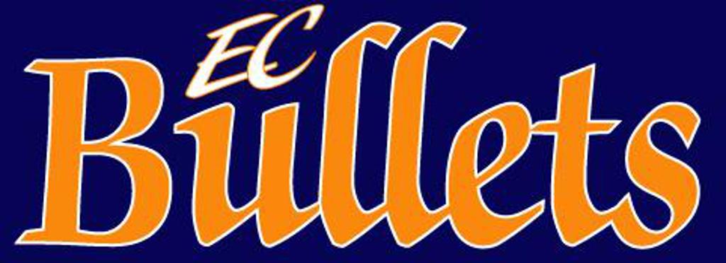 Bullets Logo