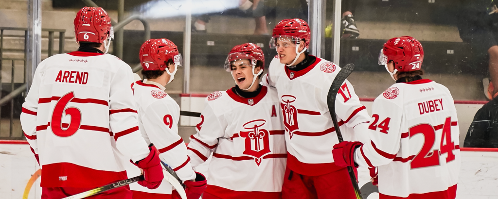 Declaration of Excellence Allows USHL to Further Focus on Player Health ...