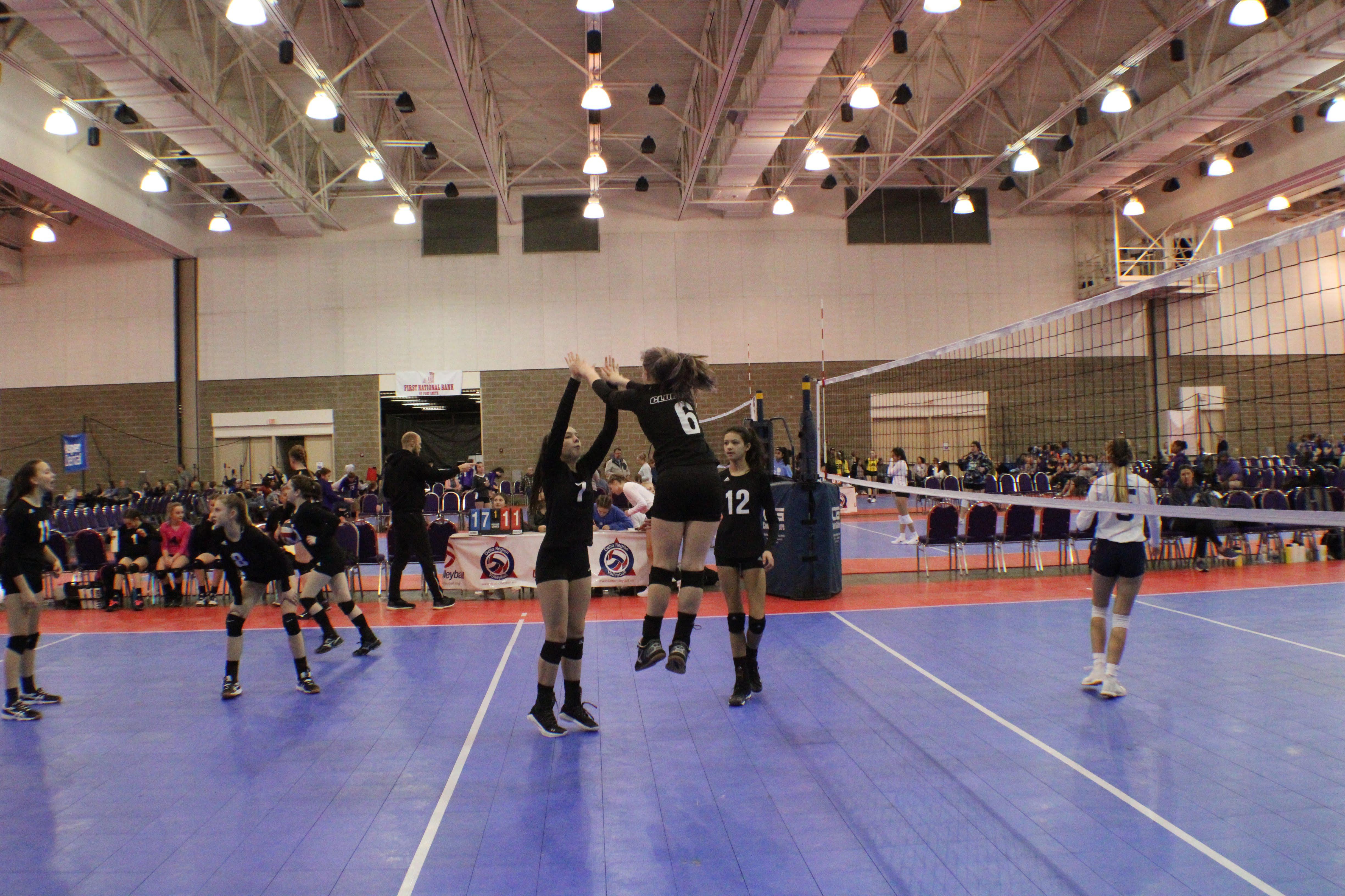 Club Net Volleyball