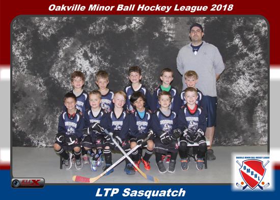Oakville Minor Ball Hockey League