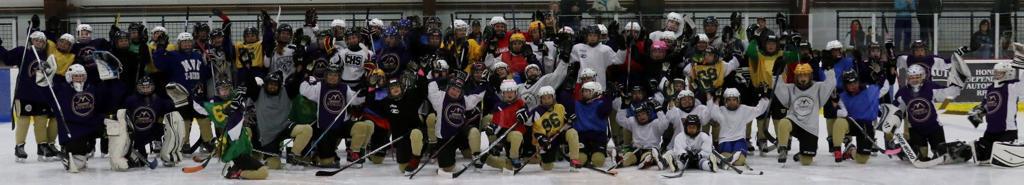 Vermont Stars Girls Hockey