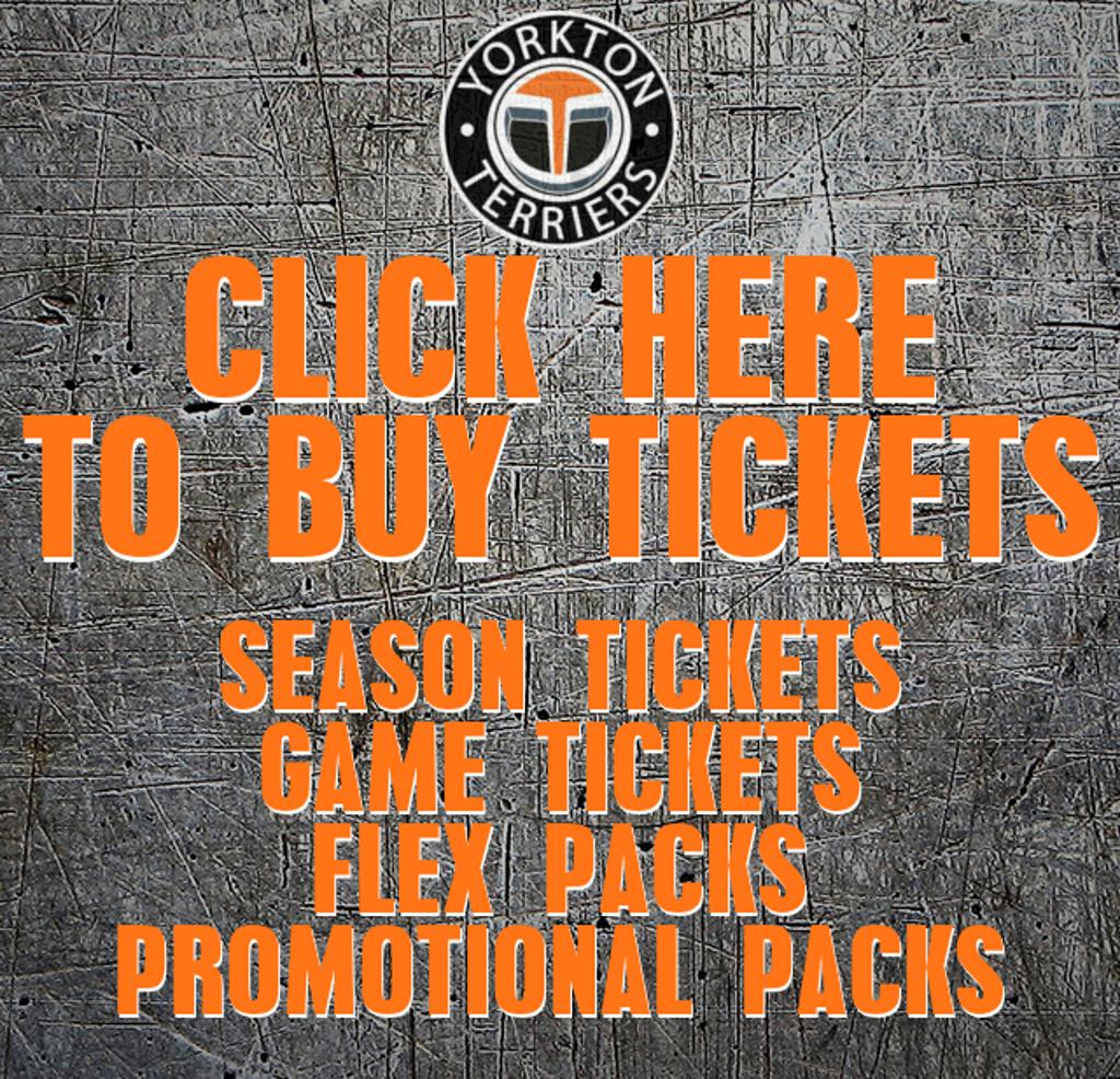 Yorkton Terriers (SJHL)