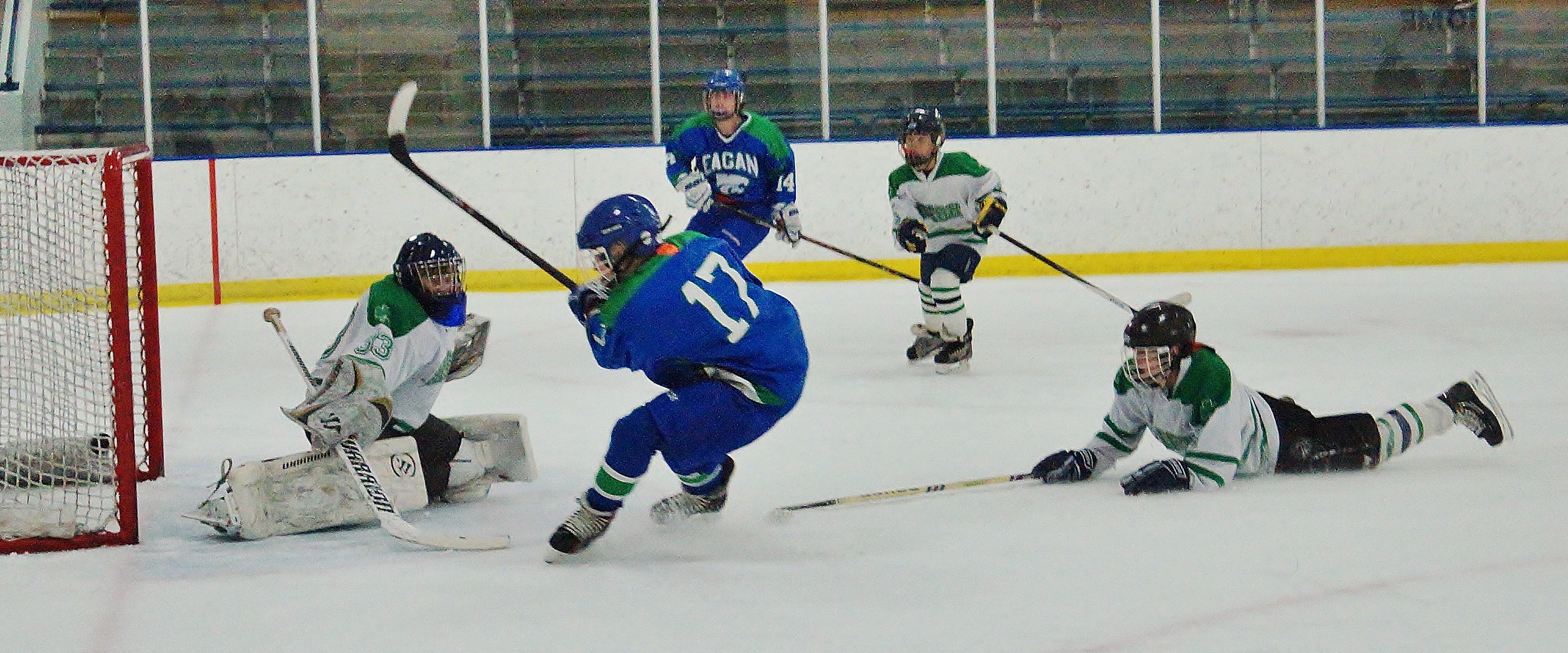 Wildcats Knot the Irish