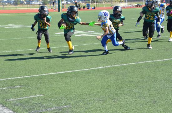 Vanden Jr Vikings Football & Cheer