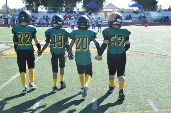 Vanden Jr Vikings Football & Cheer