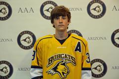 Valley of the Sun Hockey Association