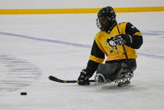 Sled Hockey Classic, Presented by the NHL
