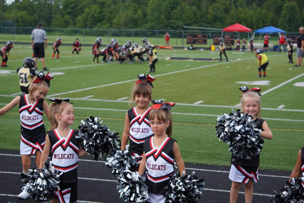 Delaware Football League