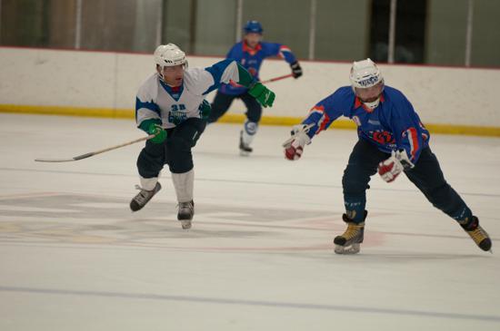 USA Bandy