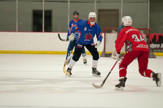 USA Bandy