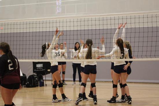 Elite Volleyball Academy