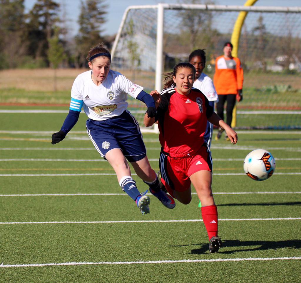 The OPDL Spotlight Series - SC Toronto