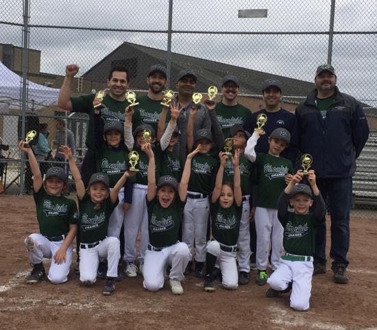 Bloomfield Baseball League