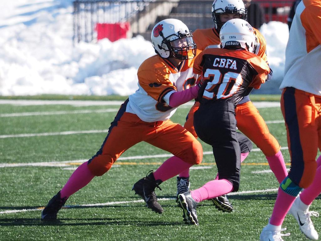 Calgary Wildcats Football