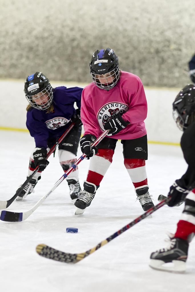 WWFHA's Try Hockey Events and Learn to Play Classes