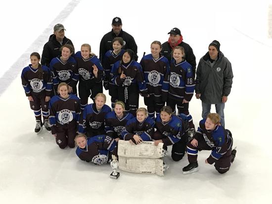 Rogers Youth Hockey Association