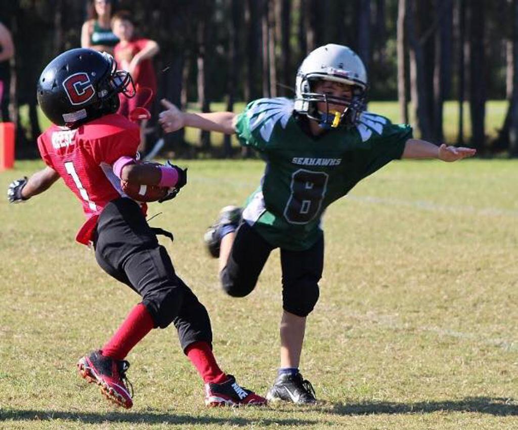 Crestview Area Youth Association