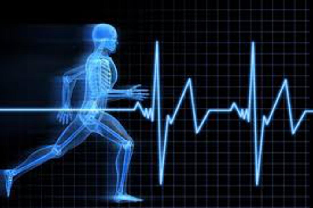 Welcome to Sports Prep Athletic Testing