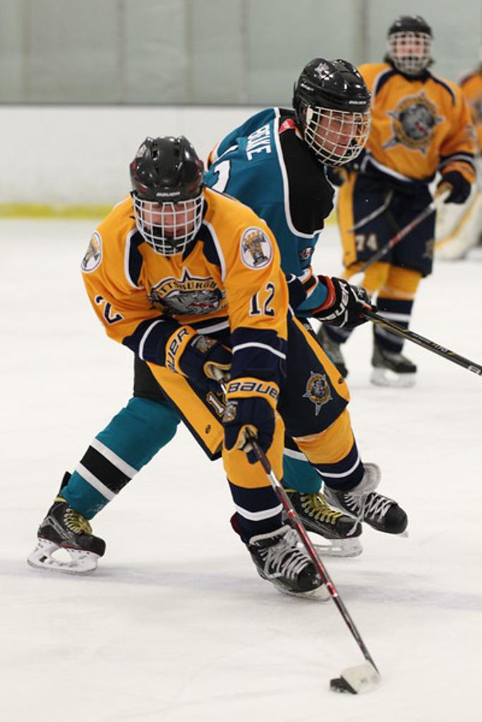 Lakers Hockey Club Association