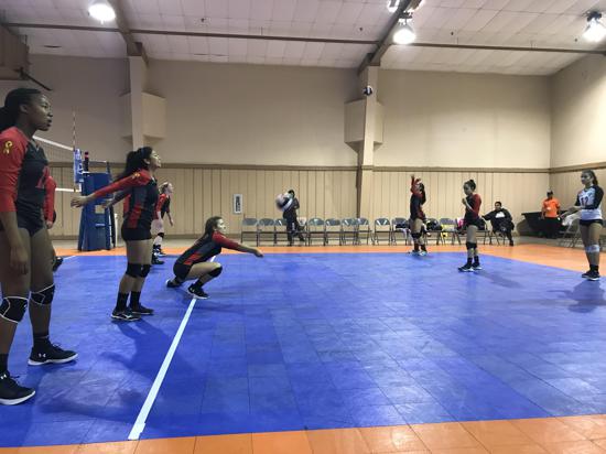 Miami Select Volleyball