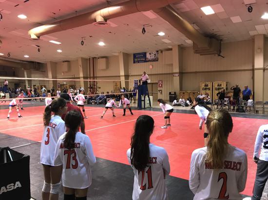 Miami Select Volleyball