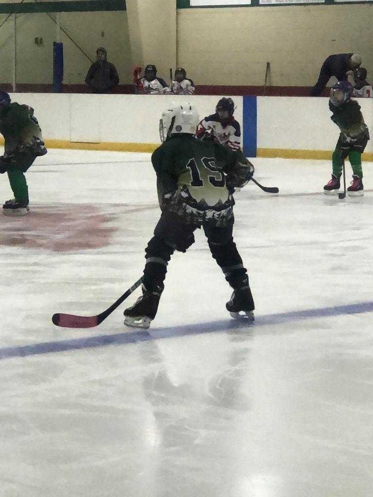 Alpena Hockey Association