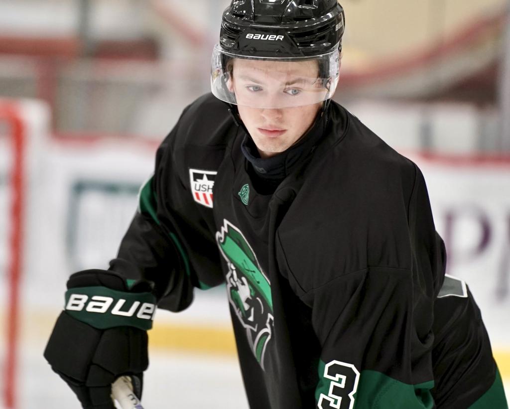2026 USHL Clark Cup Playoffs: Opening round preview
