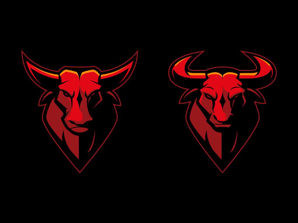 Bulls