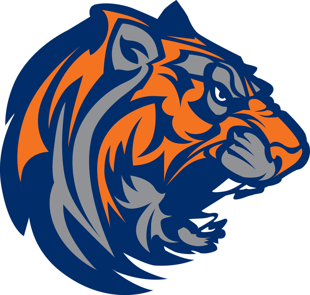 Travel Baseball In TYA