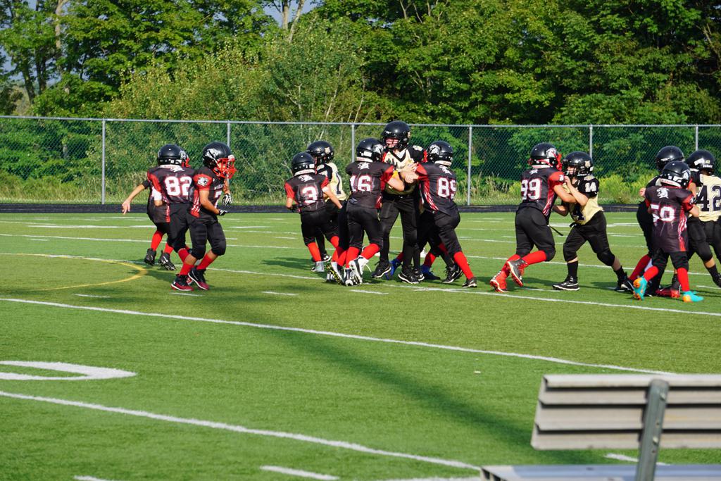 Delaware Football League