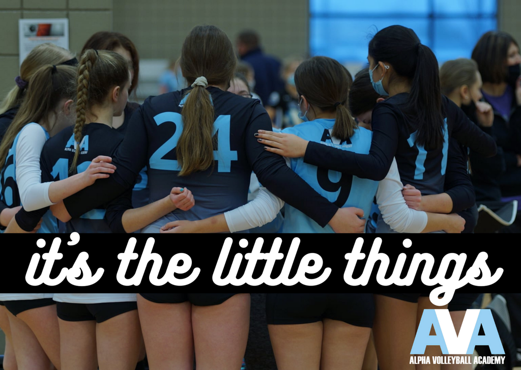 Alpha Volleyball Academy