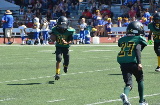 Vanden Jr Vikings Football & Cheer