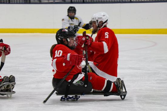 Sled Hockey Classic, Presented by the NHL