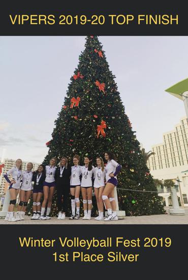 Vipers Volleyball Club