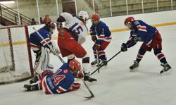 Post 2: 2014-2015 Top 50 Peewee AA/A Players