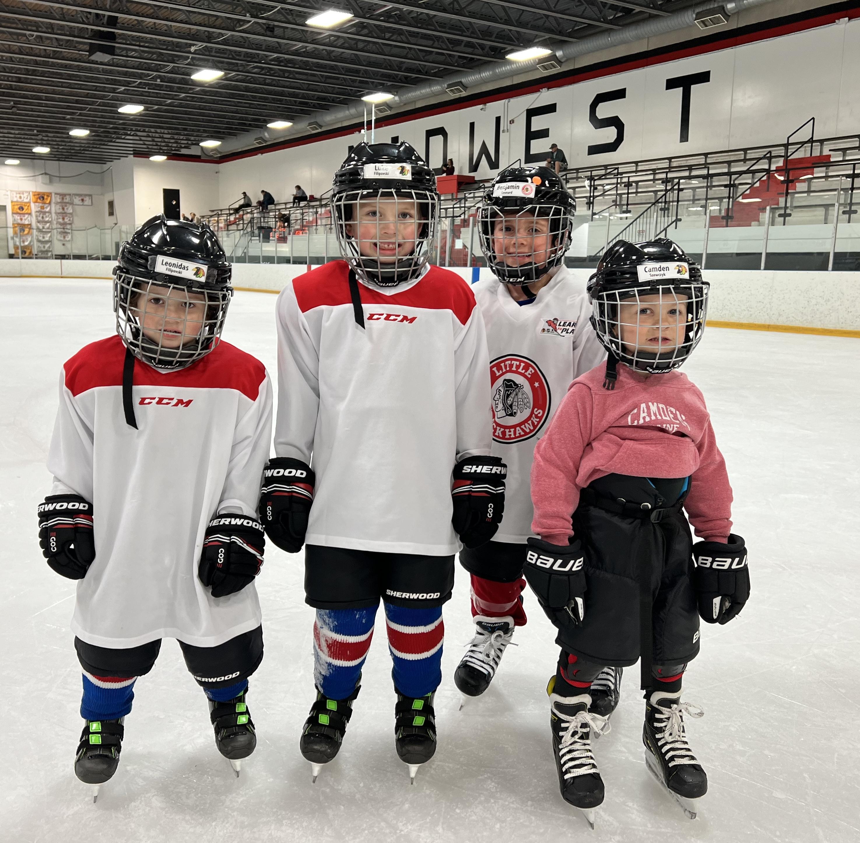 Learn to Skate (LTS) Level 1